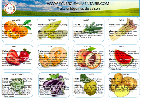 Médias gratuits - SYNERGIE ALIMENTAIRE - Nutrition et Santé