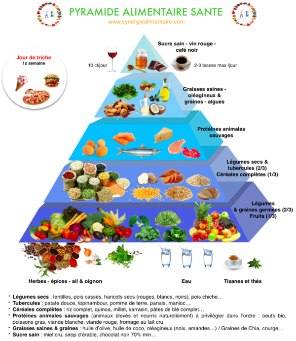 Médias gratuits - SYNERGIE ALIMENTAIRE - Nutrition et Santé